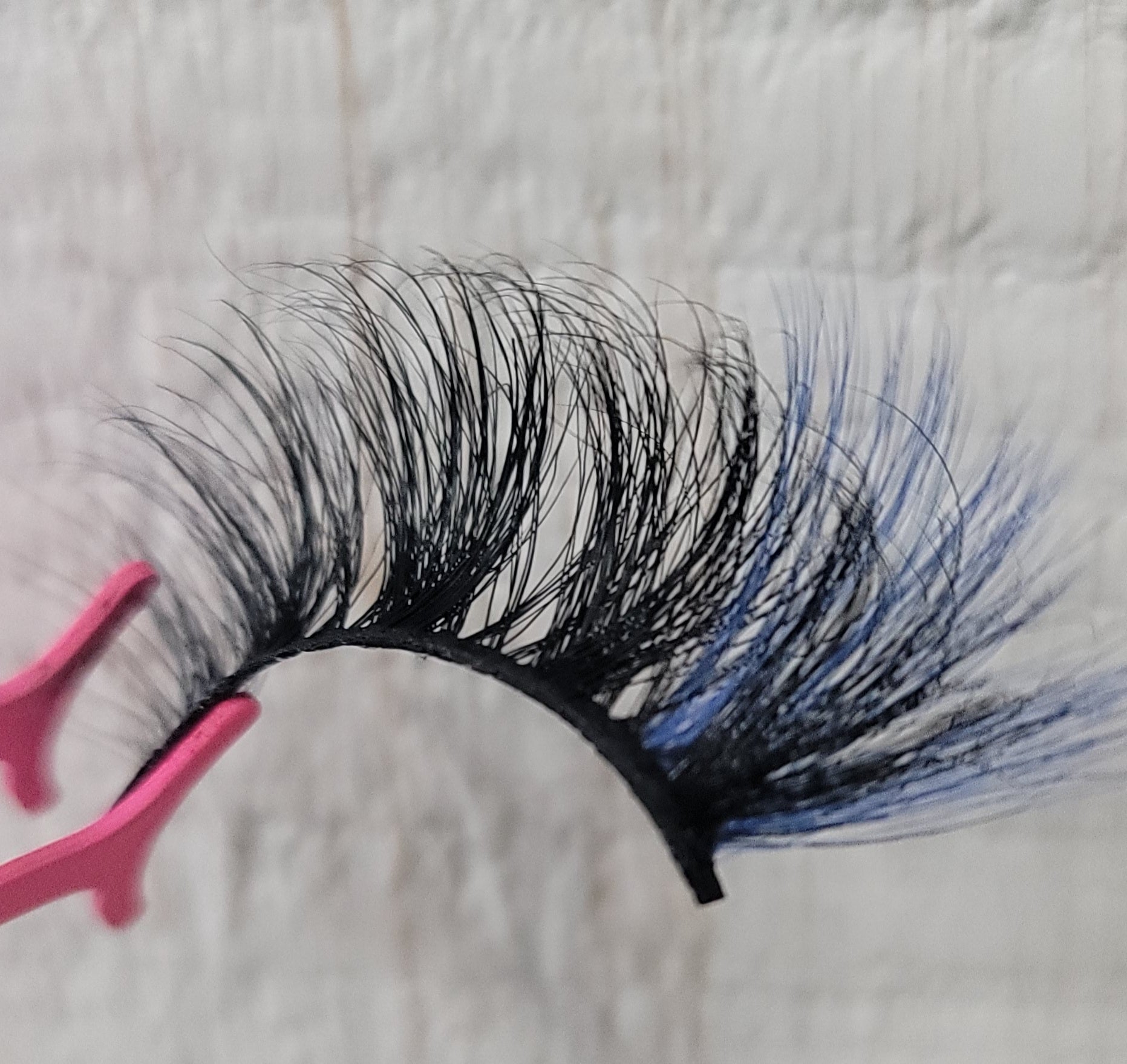 COLORED LASH COLLECTION – LadyBugLashes LLC